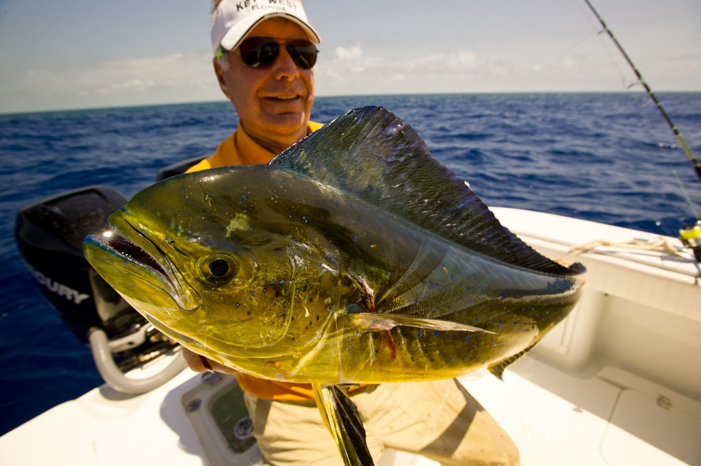 Key West Fishing Memorial Day Report | Key West Fishing Report