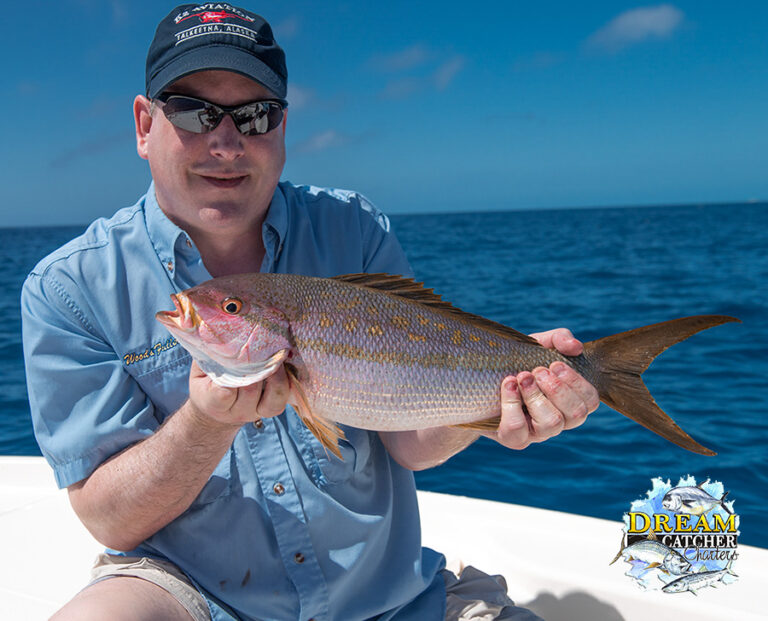 Fishing The Reef Pays Off In Key West | Key West Fishing Report